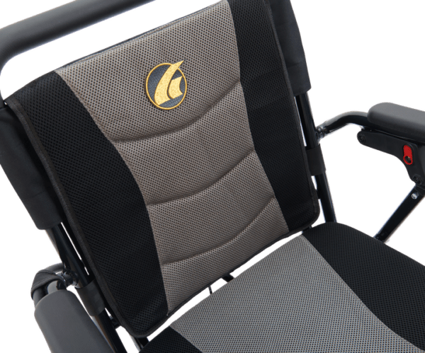 Stride - Golden Technologies