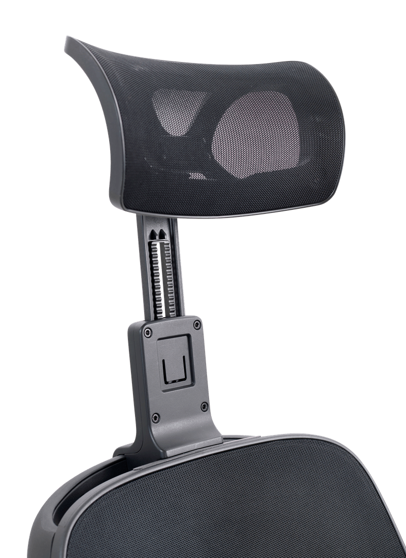 Ally Pro - Golden Technologies